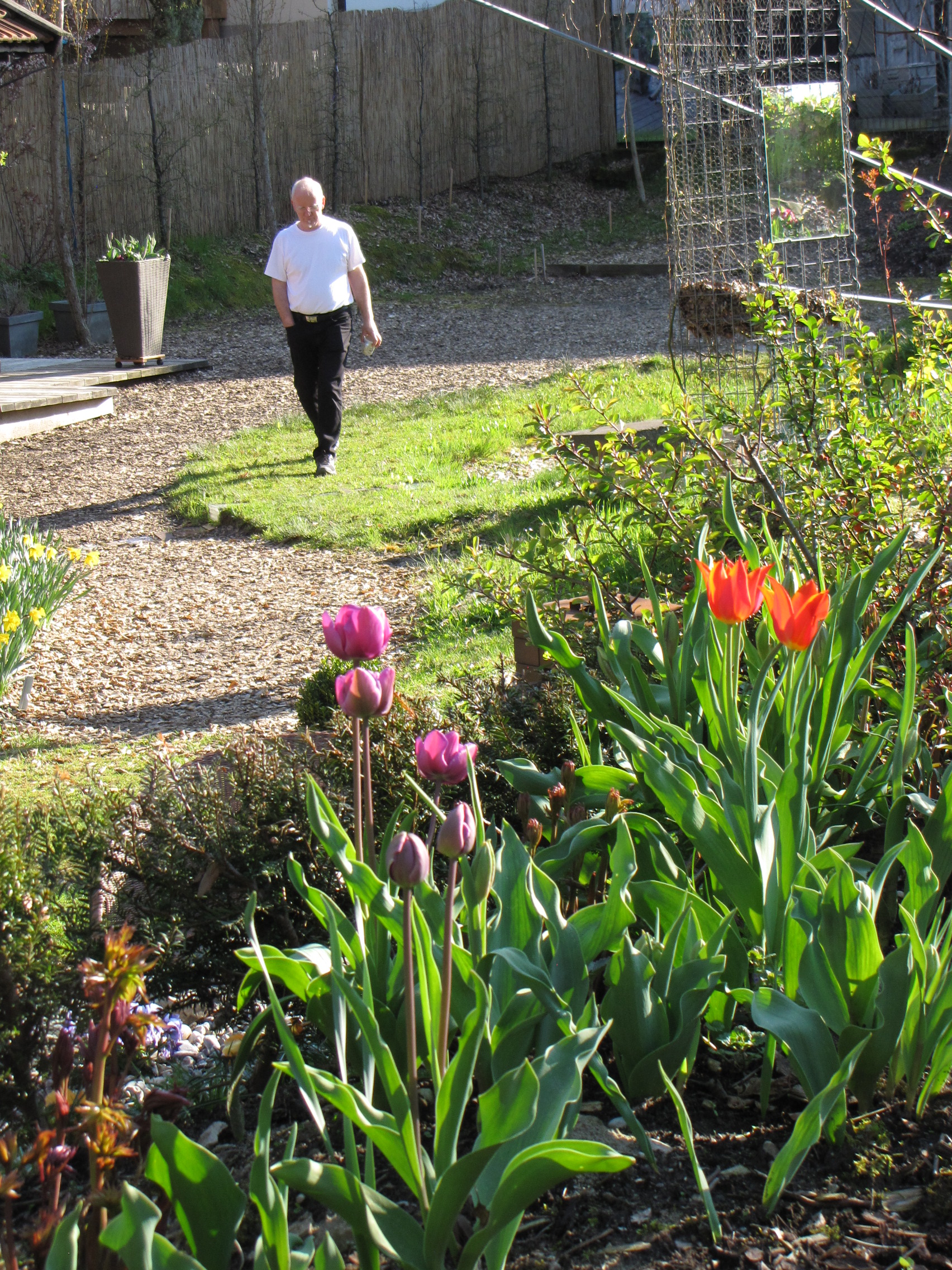 Paradiesgarten Bildergalerie 2015 – Paradies Maag