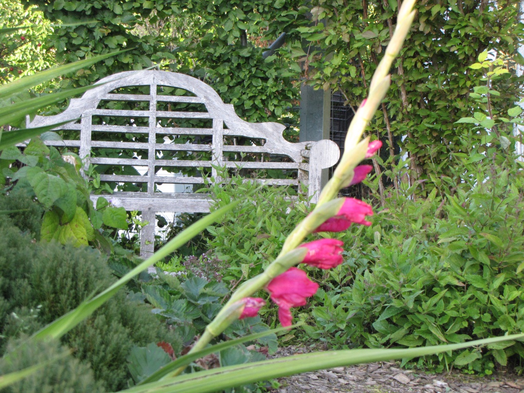 Paradiesgarten Bildergalerie 2016 – Paradies Maag