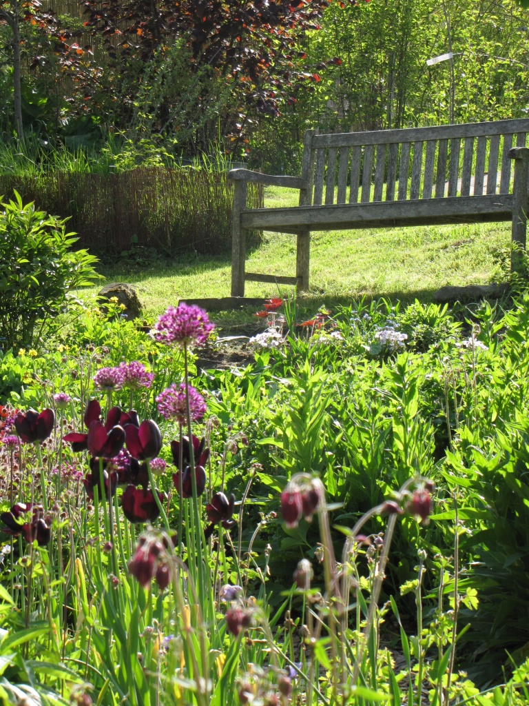 Paradiesgarten Bildergalerie 2016 – Paradies Maag