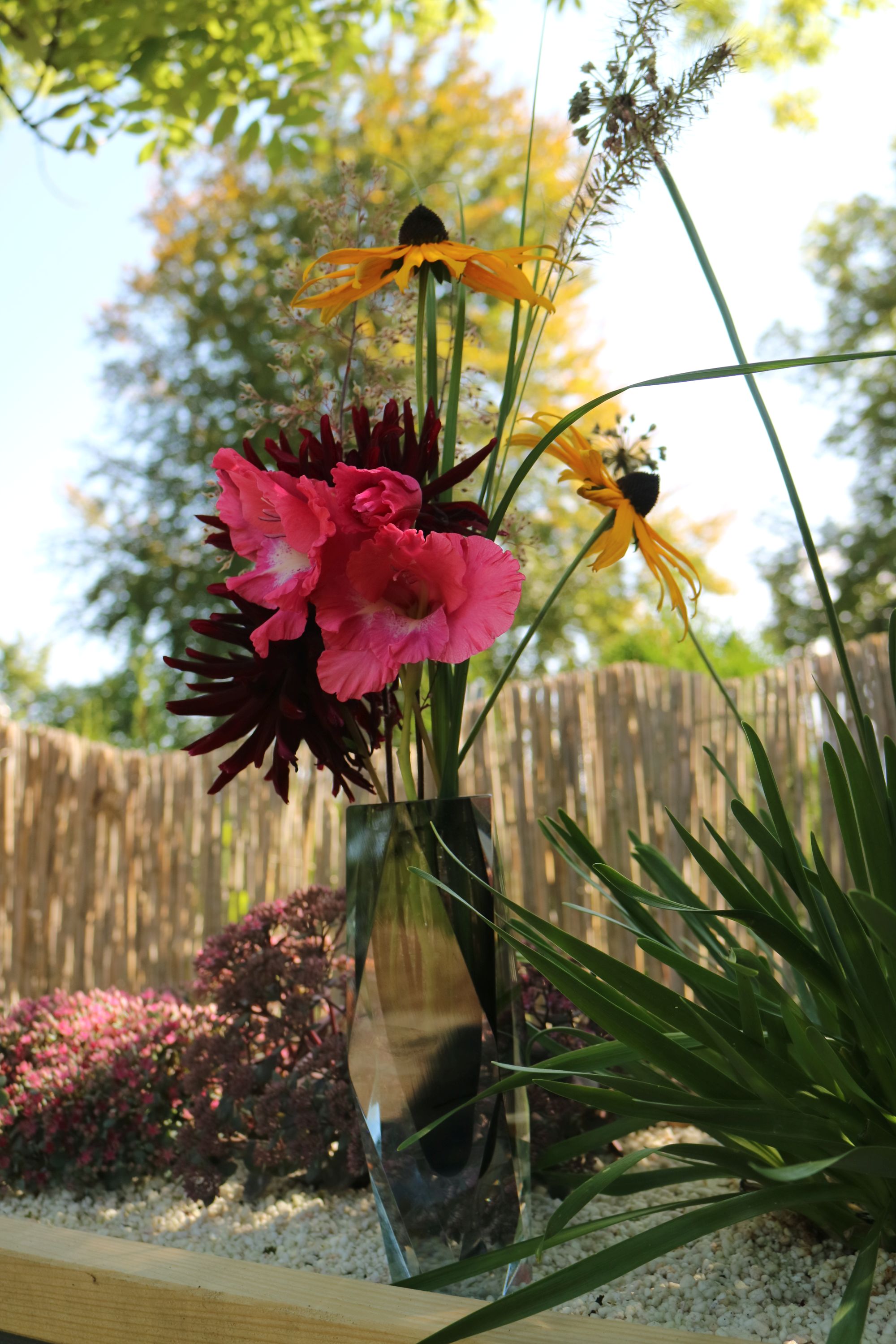 Paradiesgarten Bildergalerie 2018 – Paradiesgarten Maag