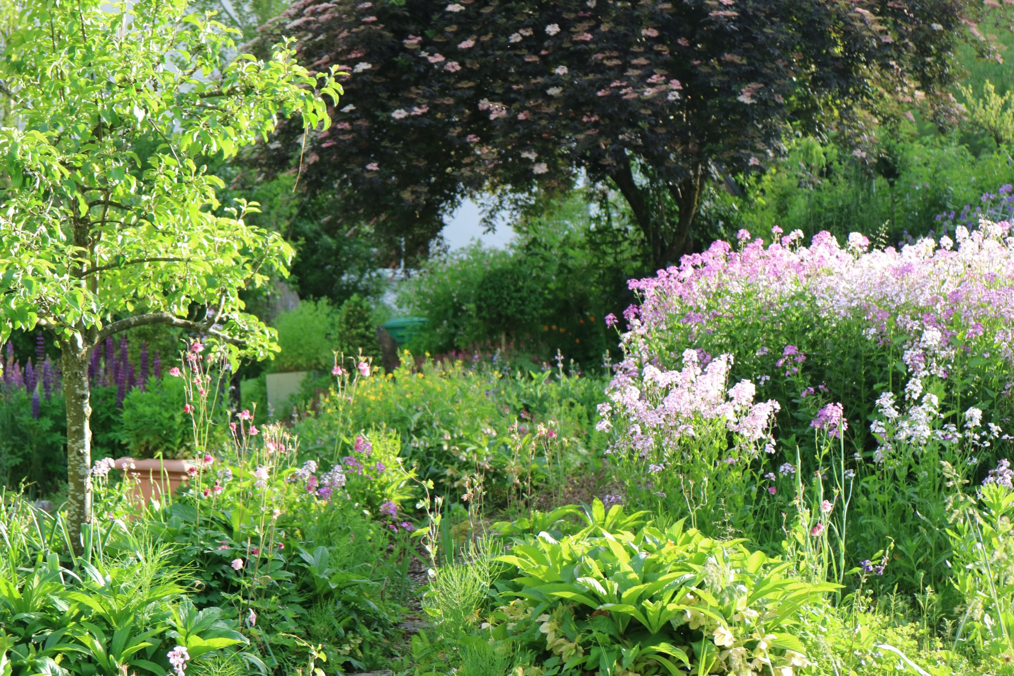 Paradiesgarten Galerie – Paradiesgarten Maag